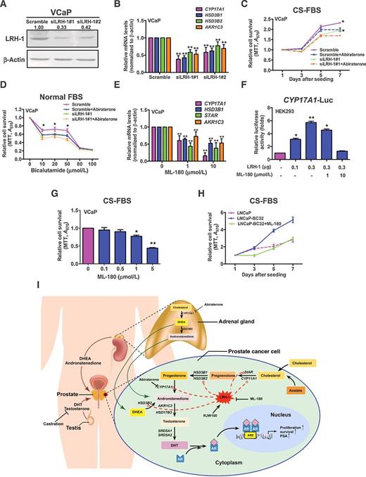 Nuclear Receptor LRH-1 Functions to Promote Castration-Resistant Growth ...