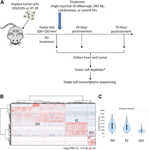 Single-Cell Transcriptome Analyses Reveal Endothelial Cell ...