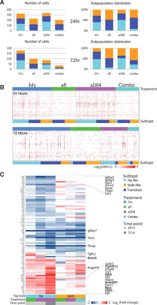 Single-Cell Transcriptome Analyses Reveal Endothelial Cell ...