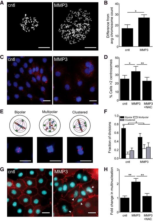 A Soft Microenvironment Protects from Failure of Midbody Abscission and ...