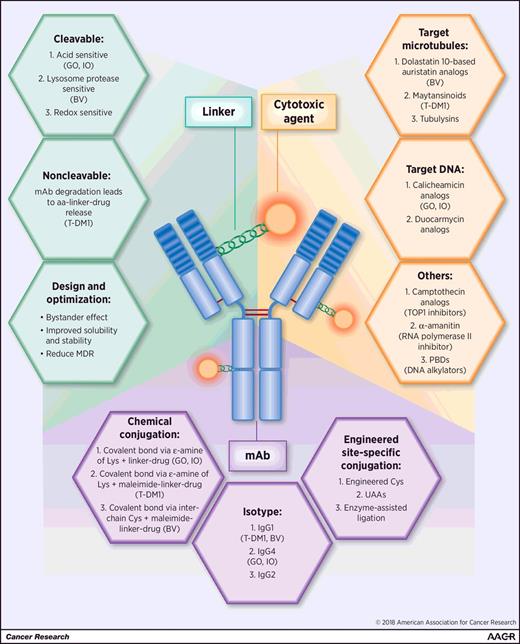 Resistance to Antibody–Drug Conjugates | Cancer Research | American ...