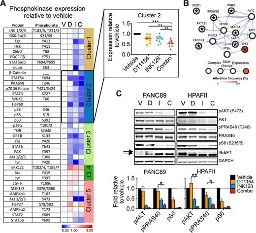 Activation of PP2A and Inhibition of mTOR Synergistically Reduce MYC ...