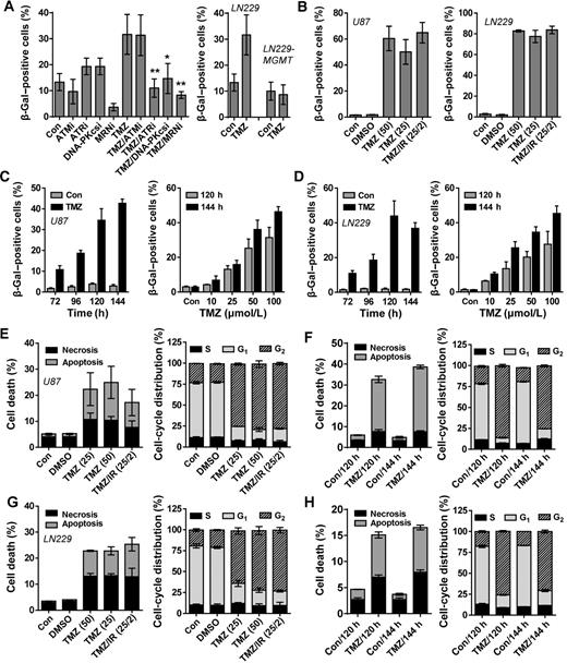 Temozolomide Induces Senescence and Repression of DNA Repair Pathways ...