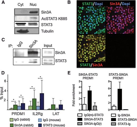 The Transcriptional Regulator Sin3A Contributes to the Oncogenic ...