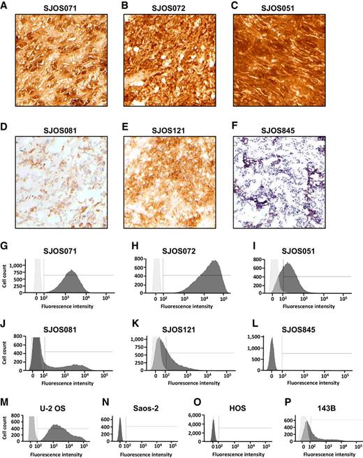 Positron Emission Tomography Detects In Vivo Expression of ...