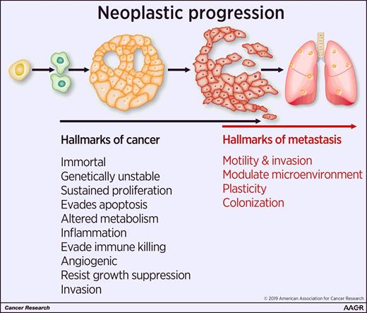 Defining the Hallmarks of Metastasis | Cancer Research | American ...