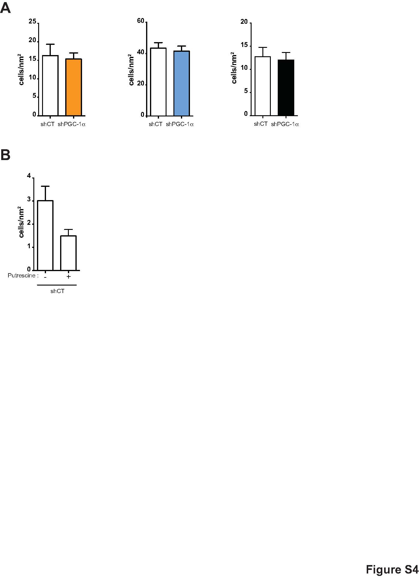PGC1α Inhibits Polyamine Synthesis to Suppress Prostate Cancer ...
