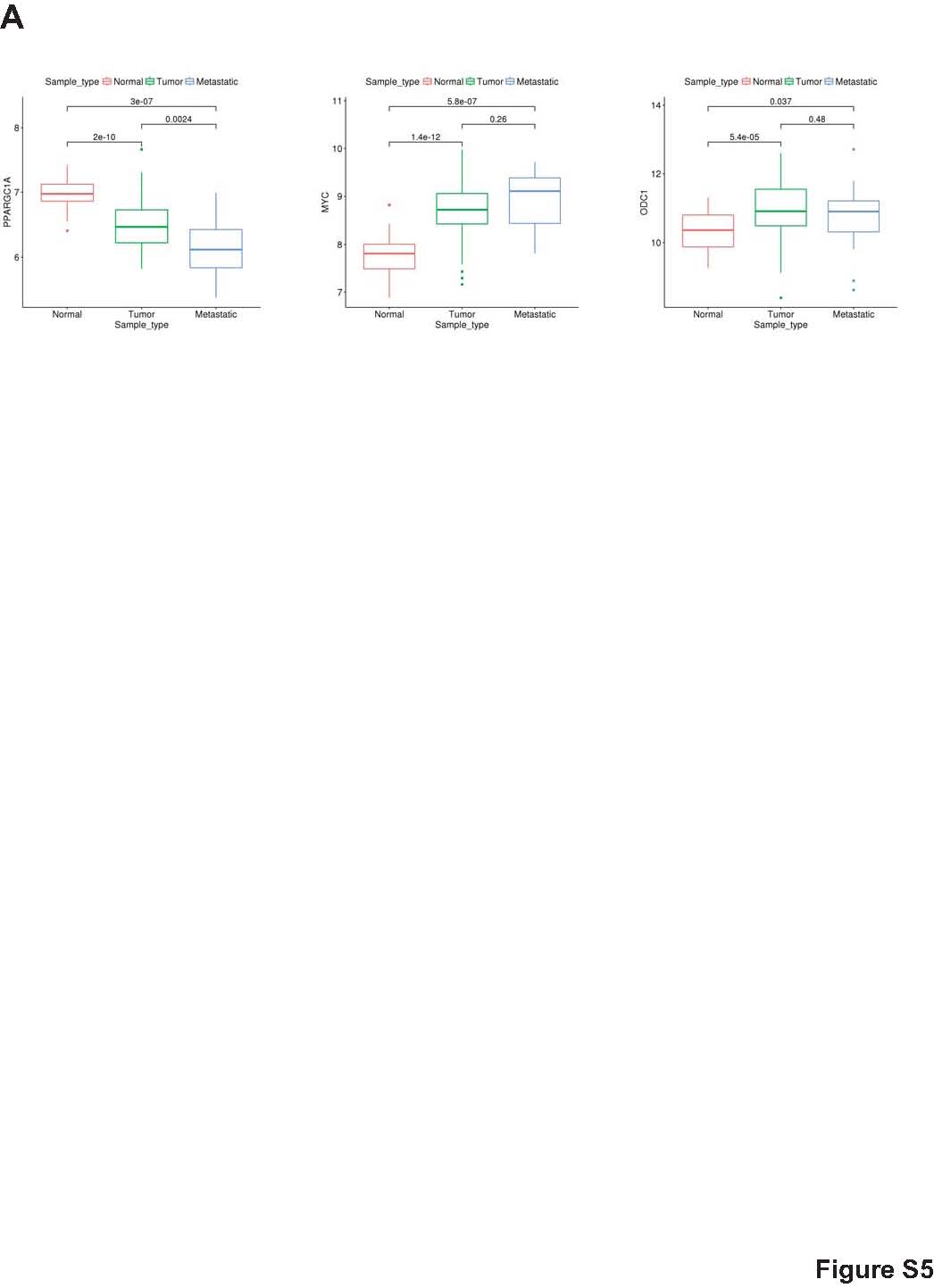 PGC1α Inhibits Polyamine Synthesis to Suppress Prostate Cancer ...
