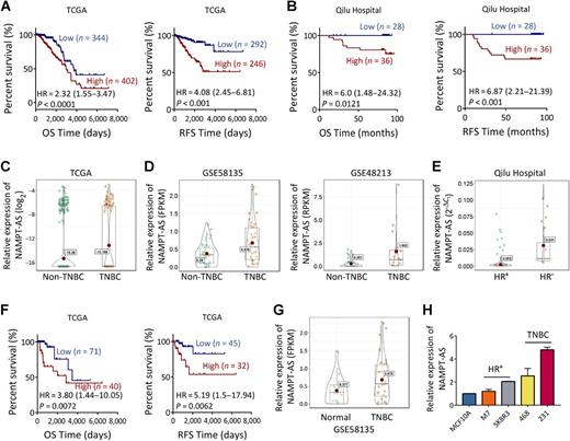 Epigenetic Regulation of NAMPT by NAMPT-ASDrives Metastatic Progression ...