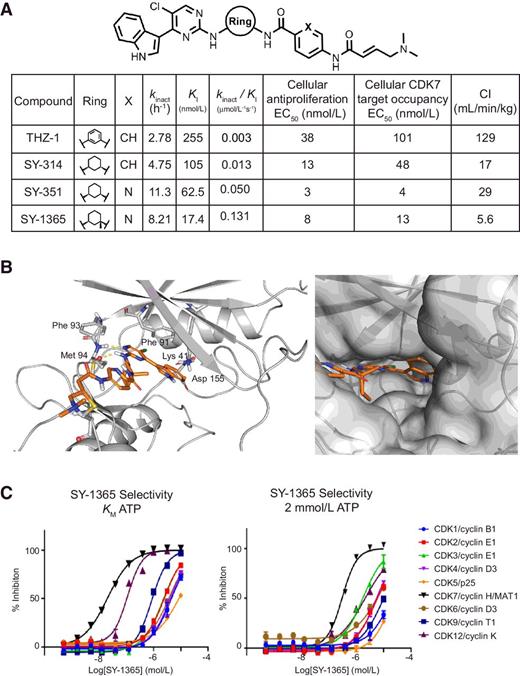 Discovery and Characterization of SY-1365, a Selective, Covalent ...