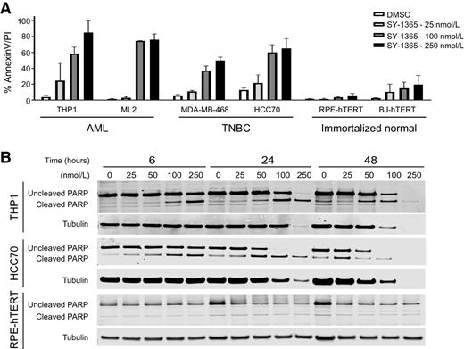 Discovery and Characterization of SY-1365, a Selective, Covalent ...