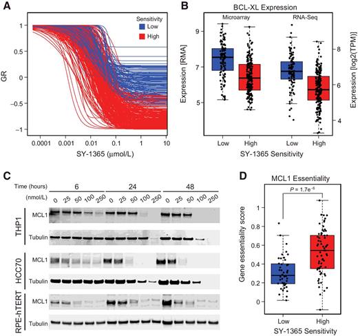 Discovery and Characterization of SY-1365, a Selective, Covalent ...