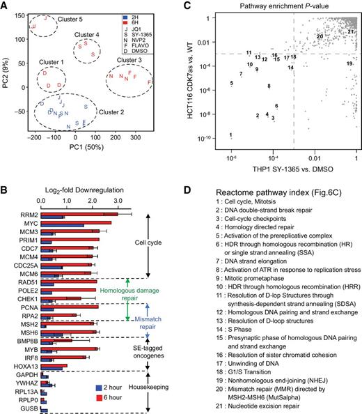 Discovery and Characterization of SY-1365, a Selective, Covalent ...