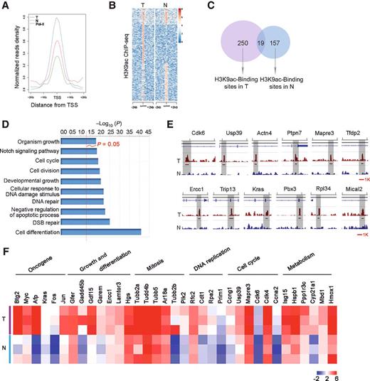 HDAC3 Deficiency Promotes Liver Cancer through a Defect in H3K9ac ...