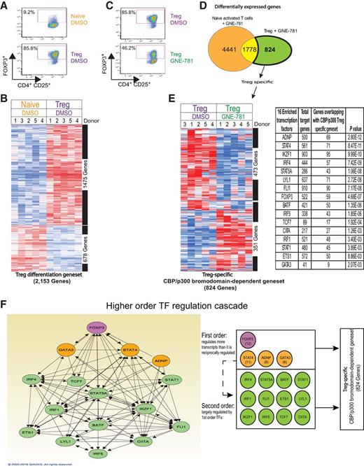 CBP/p300 Drives the Differentiation of Regulatory T Cells through ...