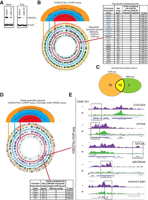 CBP/p300 Drives the Differentiation of Regulatory T Cells through ...