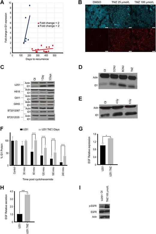 ID1 Is Critical for Tumorigenesis and Regulates Chemoresistance in ...
