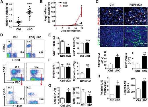 NOTCH Signaling via WNT Regulates the Proliferation of Alternative ...