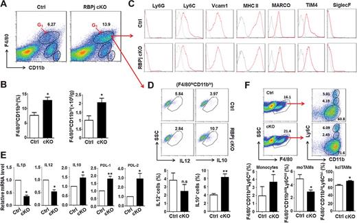NOTCH Signaling via WNT Regulates the Proliferation of Alternative ...