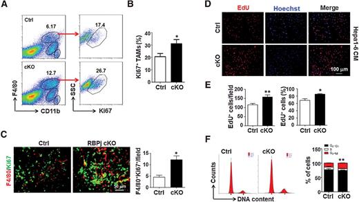 NOTCH Signaling via WNT Regulates the Proliferation of Alternative ...