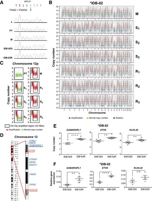 Chromosome 12p Amplification in Triple-Negative/BRCA1-Mutated Breast ...