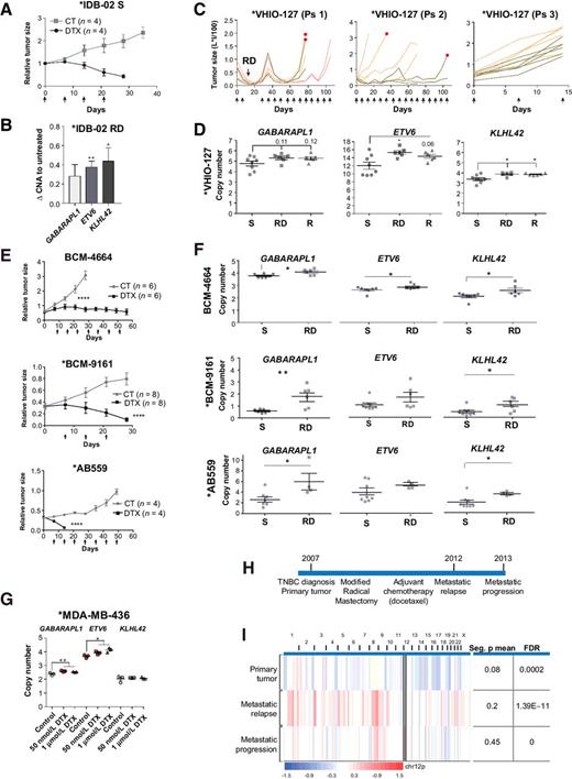 Chromosome 12p Amplification in Triple-Negative/BRCA1-Mutated Breast ...