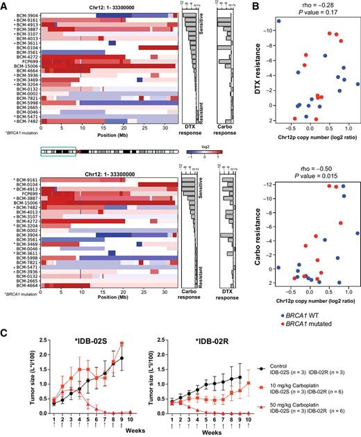 Chromosome 12p Amplification in Triple-Negative/BRCA1-Mutated Breast ...