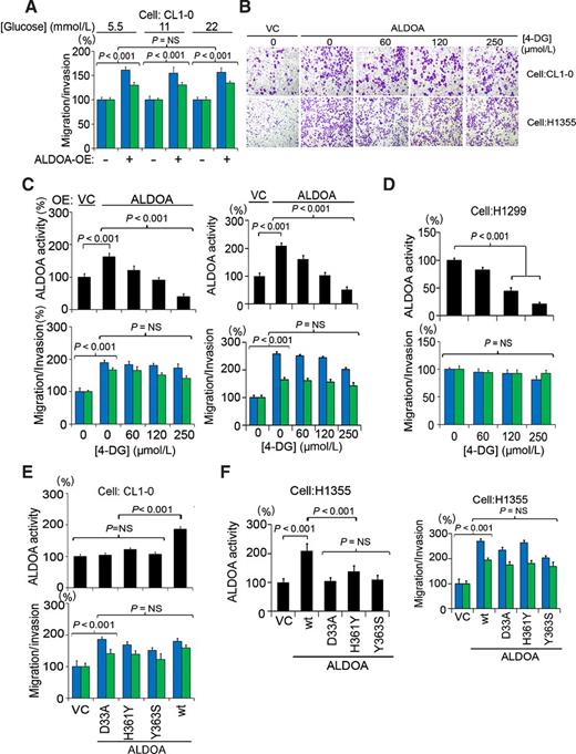 Therapeutic Targeting of Aldolase A Interactions Inhibits Lung Cancer ...