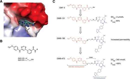 Targeting BCR-ABL1 in Chronic Myeloid Leukemia by PROTAC-Mediated ...