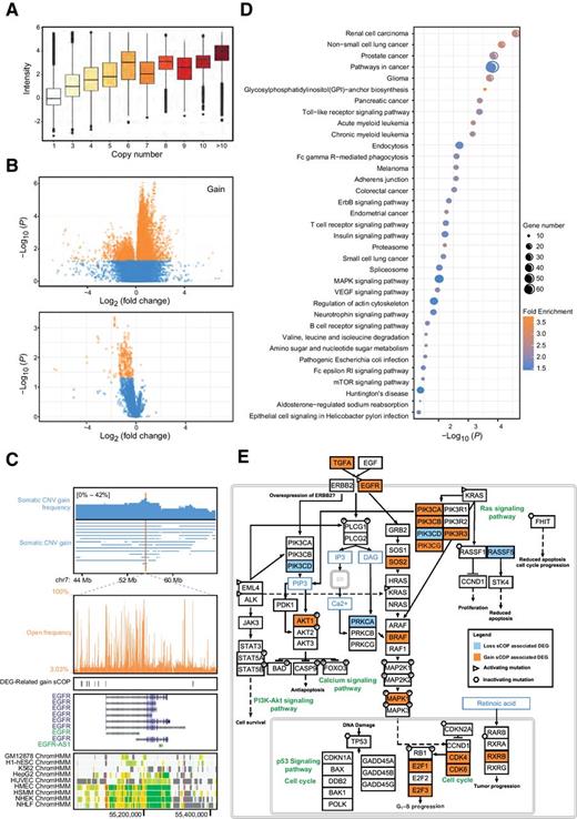 The Open Chromatin Landscape of Non–Small Cell Lung Carcinoma | Cancer ...
