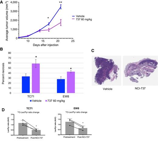 Targeting Glycolysis through Inhibition of Lactate Dehydrogenase ...
