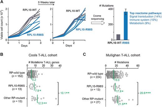 Ribosomal Lesions Promote Oncogenic Mutagenesis | Cancer Research ...