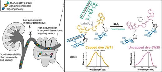 An Activatable Cancer-Targeted Hydrogen Peroxide Probe for ...