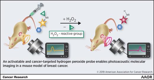 An Activatable Cancer-Targeted Hydrogen Peroxide Probe for ...
