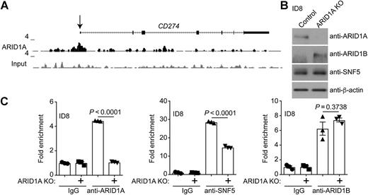 HDAC6 Inhibition Synergizes with Anti-PD-L1 Therapy in ARID1A ...