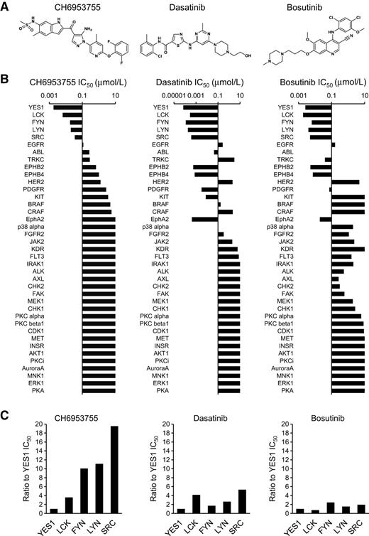 YES1 Is a Targetable Oncogene in Cancers Harboring YES1 Gene ...