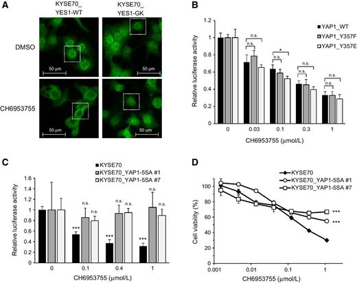 YES1 Is a Targetable Oncogene in Cancers Harboring YES1 Gene ...