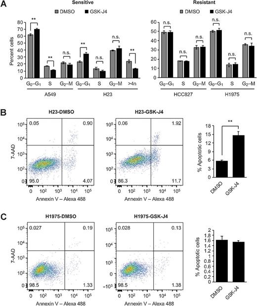 Oncogenic KRAS Sensitizes Lung Adenocarcinoma to GSK-J4–Induced ...