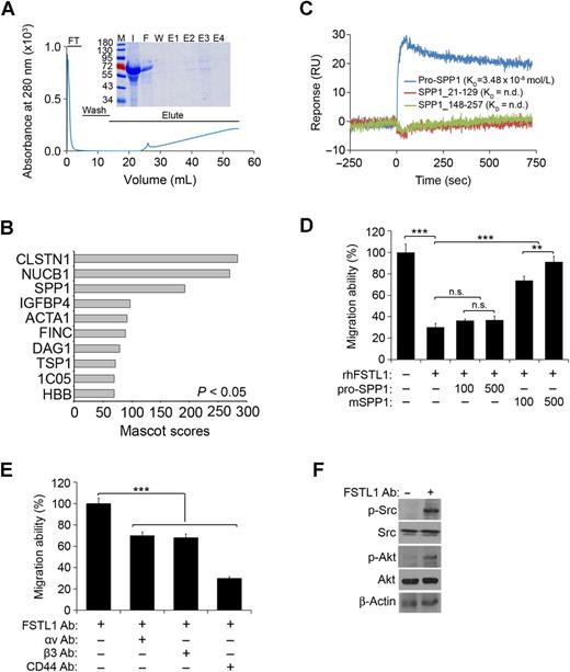Follistatin-like Protein 1 Inhibits Lung Cancer Metastasis by ...