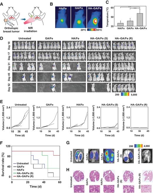 A Microbial Siderophore-Inspired Self-Gelling Hydrogel for Noninvasive ...