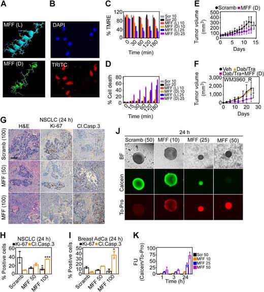 MFF Regulation of Mitochondrial Cell Death Is a Therapeutic Target in ...