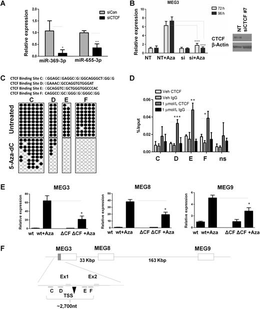 DNA Methylation Controls Metastasis-Suppressive 14q32-Encoded miRNAs ...