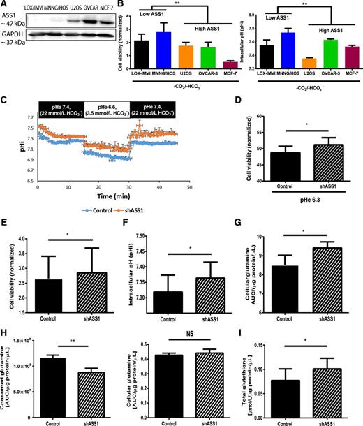 Acid-Induced Downregulation of ASS1 Contributes to the Maintenance of ...