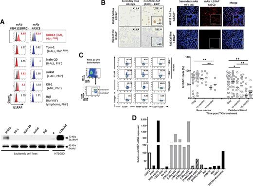 CML Hematopoietic Stem Cells Expressing IL1RAP Can Be Targeted by ...