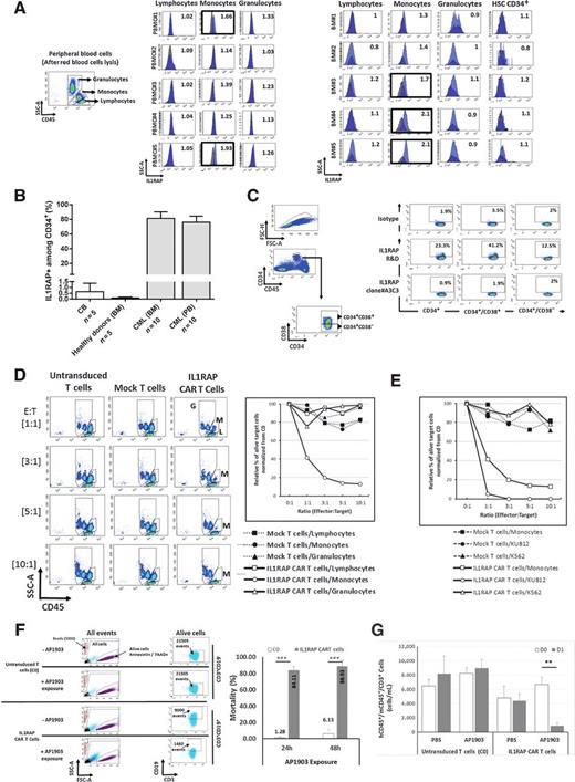 CML Hematopoietic Stem Cells Expressing IL1RAP Can Be Targeted by ...