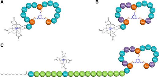 Bicyclic Peptides as a New Modality for Imaging and Targeting of ...