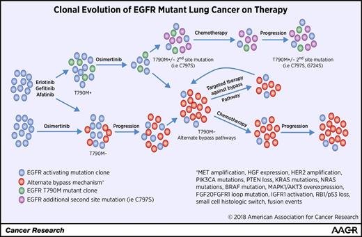Novel Third-Generation EGFR Tyrosine Kinase Inhibitors and Strategies ...
