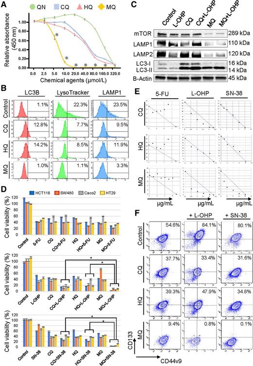 Disruption of Endolysosomal RAB5/7 Efficiently Eliminates Colorectal ...