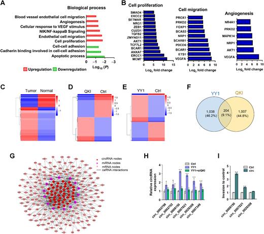 YY1 Complex Promotes Quaking Expression via Super-Enhancer Binding ...