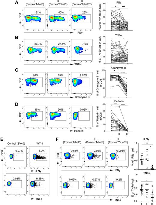 Eomes+T-betlow CD8+ T Cells Are Functionally Impaired and Are ...
